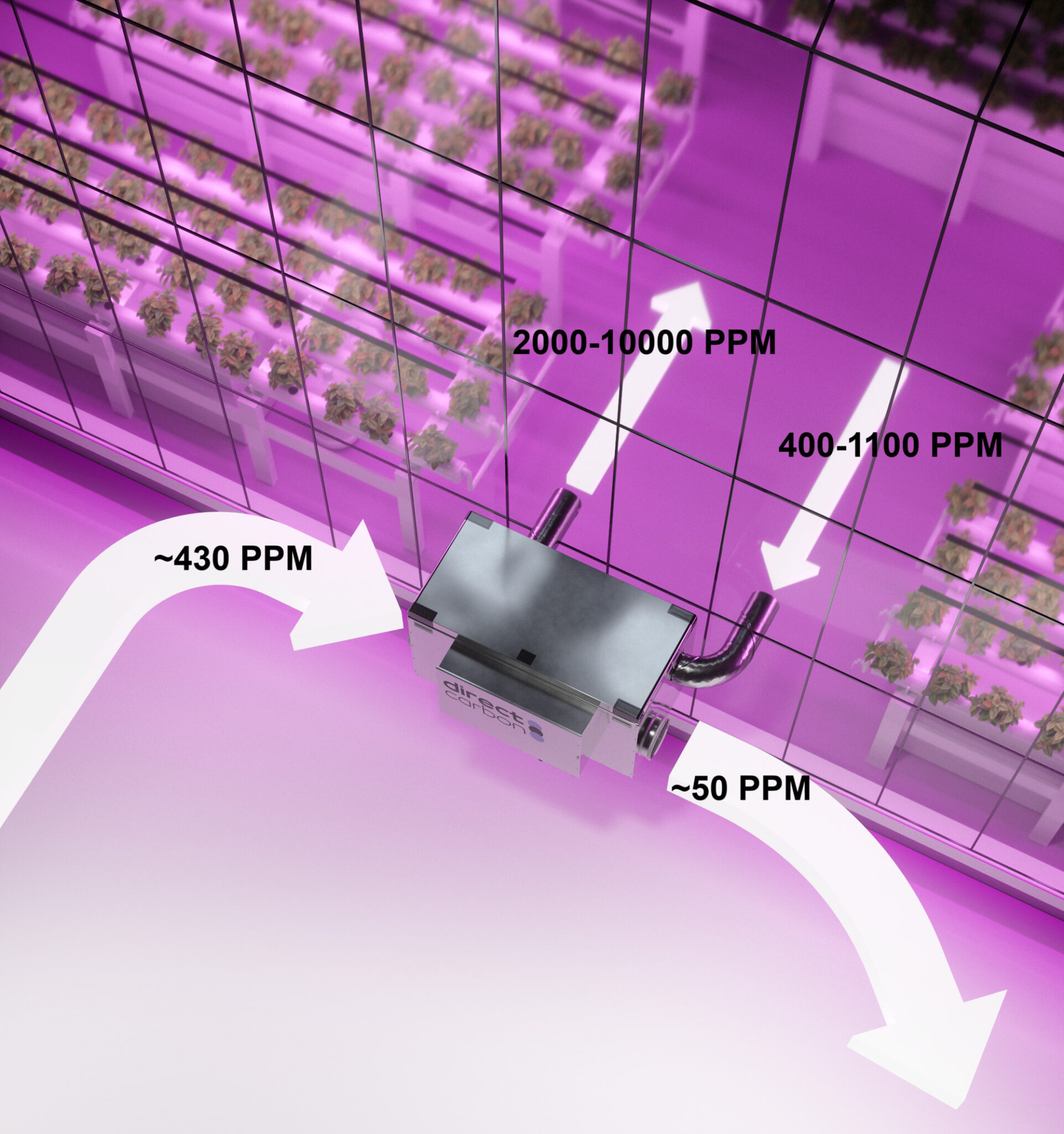 Wunderpumpe – Direct Carbon